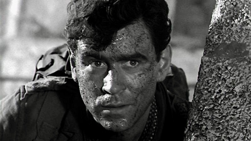 The Forgotten War | Cinema Sojourns